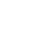 VitalChek: Complete Guide to Ordering Vital Records Online